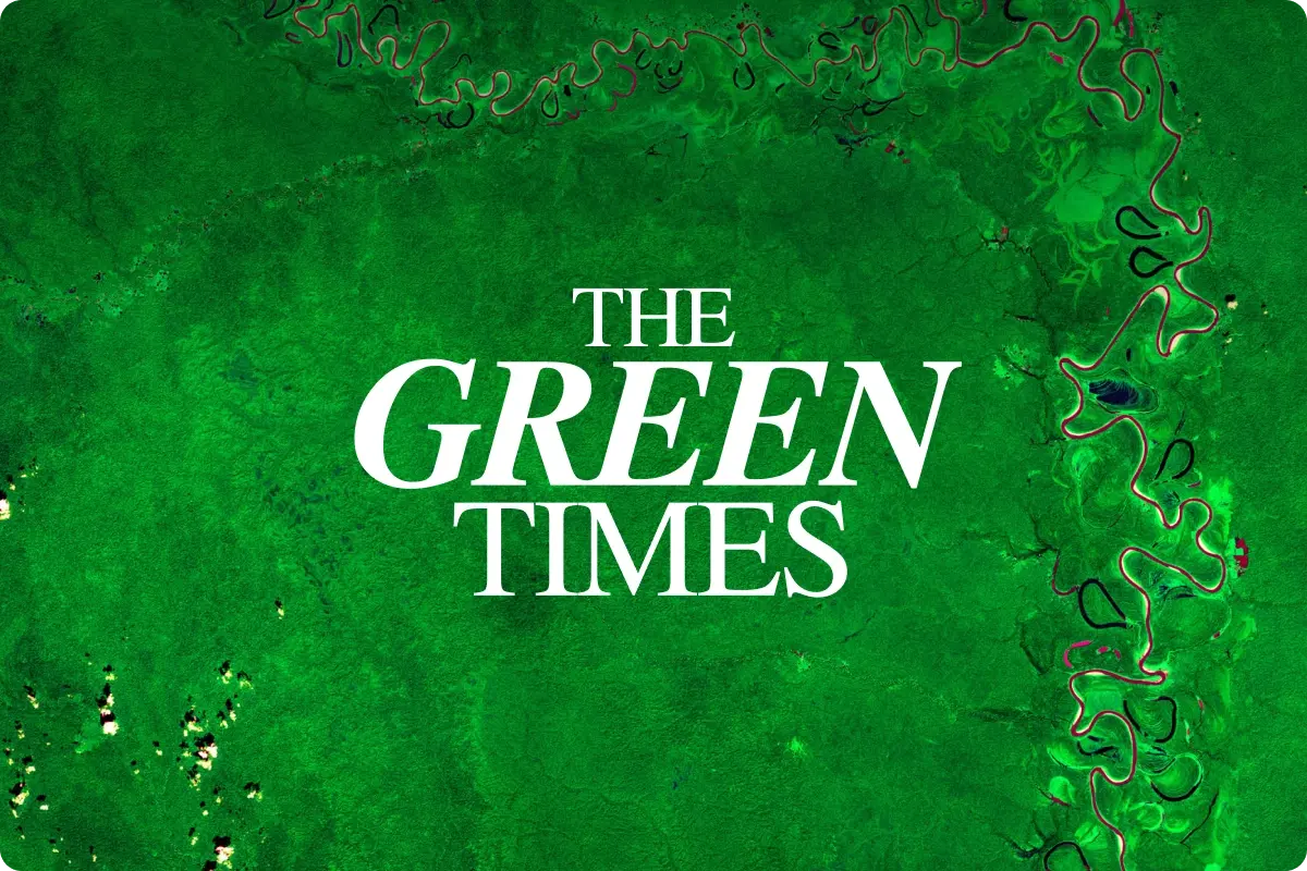 DGB | Business Class Magazine